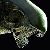 Alien: Blackout News,Trailers, Reviews, Guides, Cheats | PrimeWikis