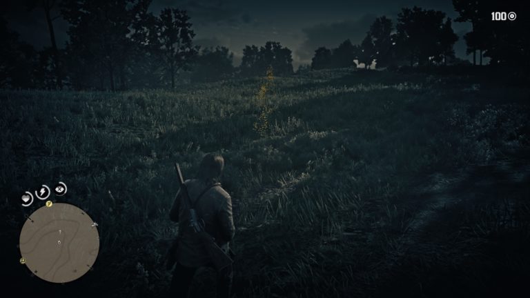 Legendary Coyote Hunting & Skin Location | Red Dead Redemption 2 Guide ...