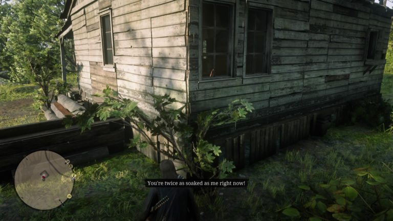 Homstead Stashes Locations | Red Dead Redemption 2 Guide | PrimeWikis