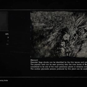 Red Dead Redemption 2 Legendary Alligator Guide: Location, Skin, Kill