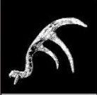 Buck Antler Trinket | Red Dead Redemption 2 Guide | PrimeWikis