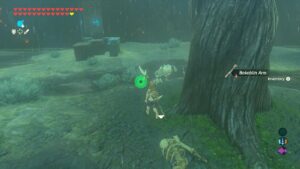 The Legend Of Zelda: Breath Of The Wild - Dungeons